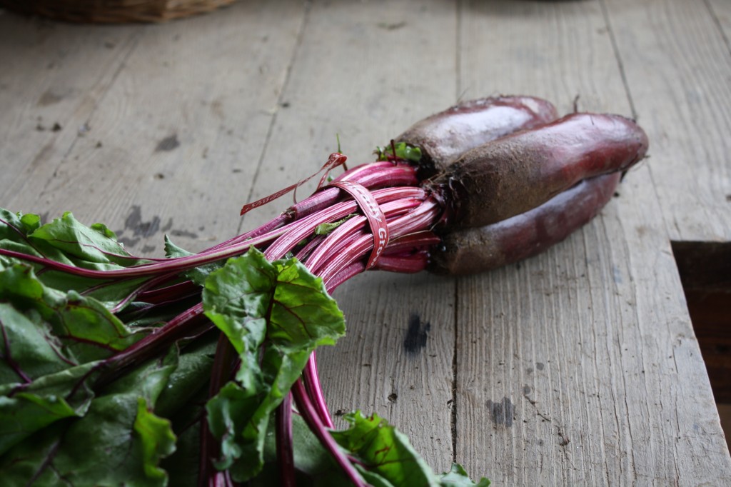Forono Beets - Fifth Crow Farm