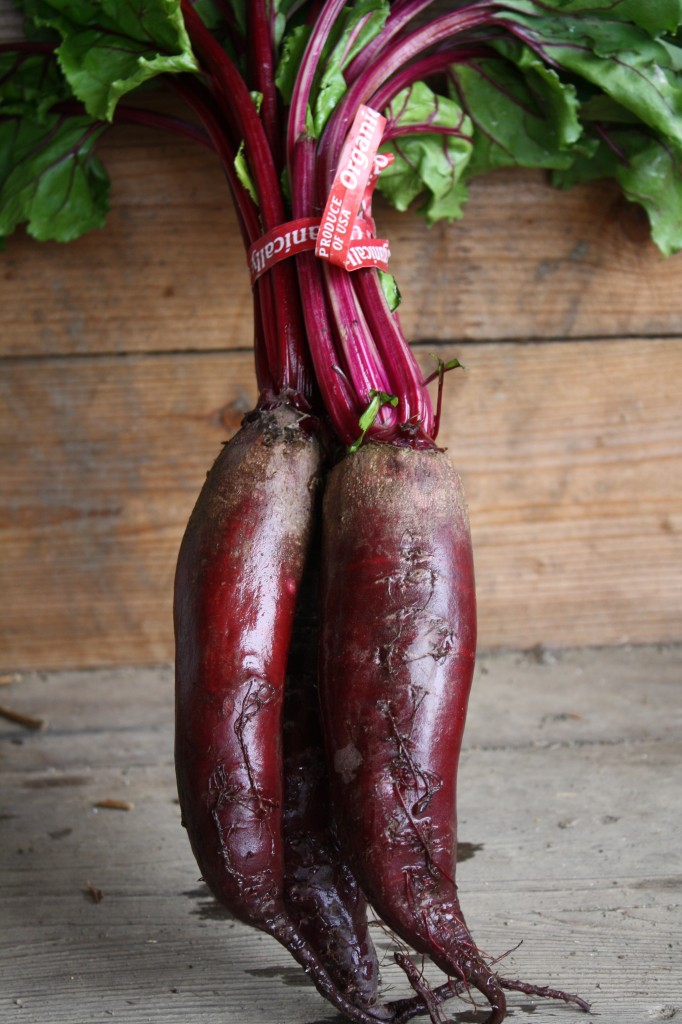 Forono Beets - Fifth Crow Farm