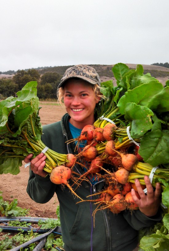 Forono Beets - Fifth Crow Farm